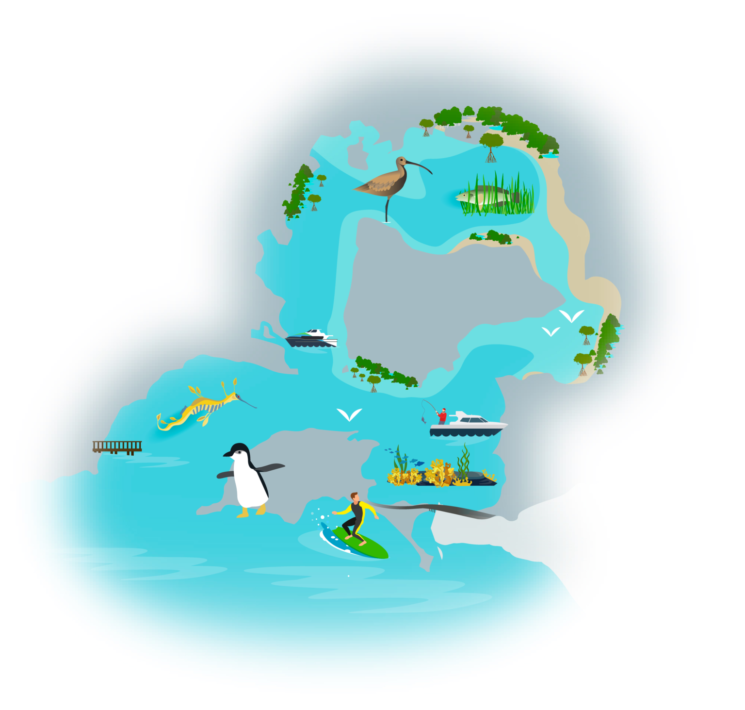 Western Port | Port Phillip & Western Port Regional Catchment Strategy